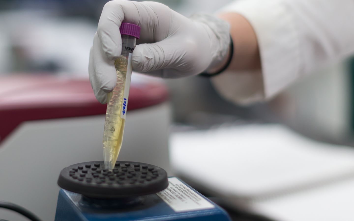 Bachelor's in Biology, BA or BS | Roosevelt University