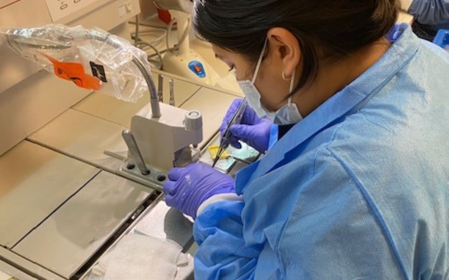 Bachelor's in Histotechnology | Roosevelt University